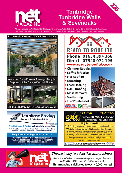 Ferns for your garden - The Net Magazine