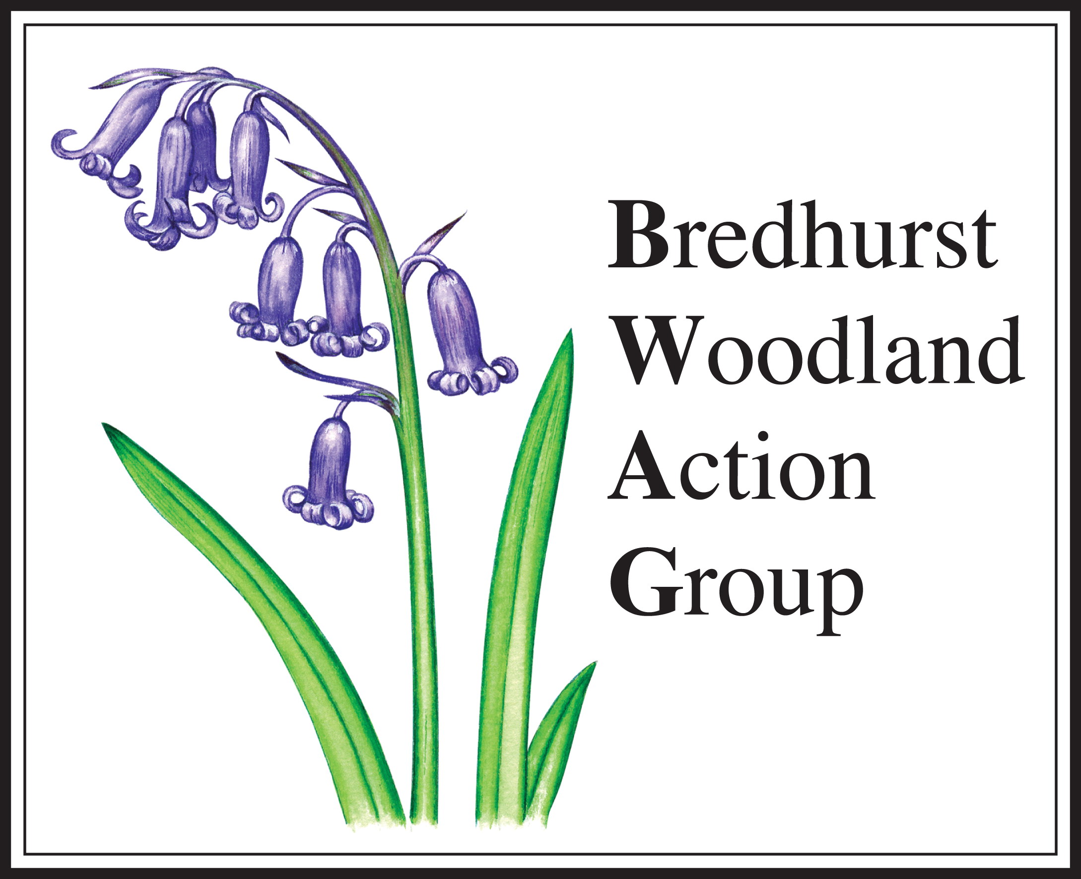 Bredhurst Woodland Action Group - Task Day - The Net Magazine