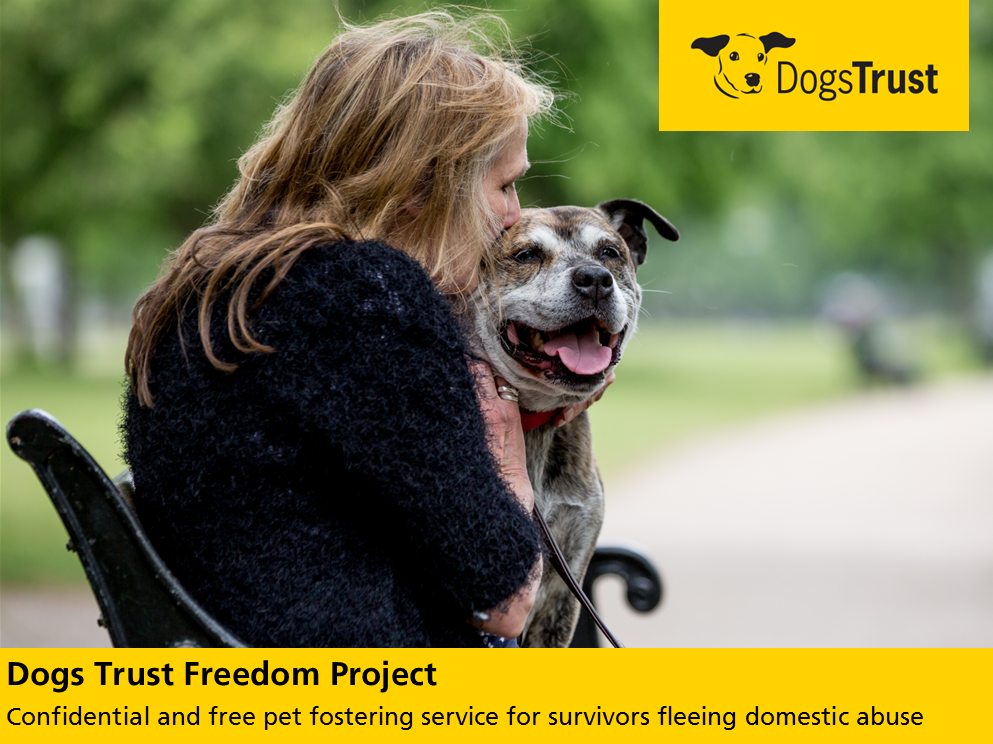 Dogs Trust Freedom Project - The Net Magazine
