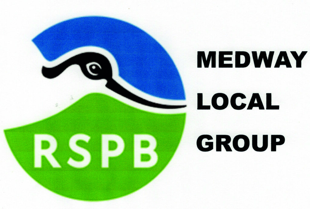 Vinters Park NR guided walk - The Net Magazine