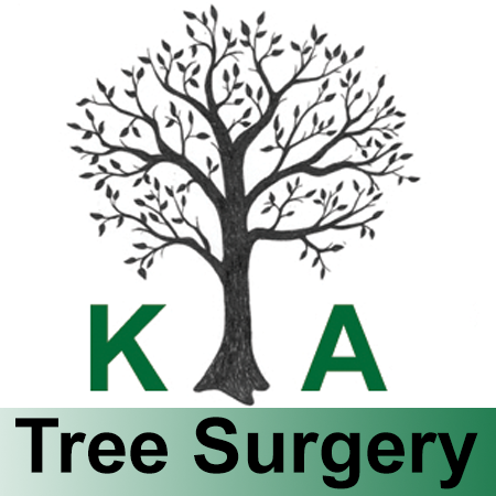 KA Tree Surgery - The Net Magazine