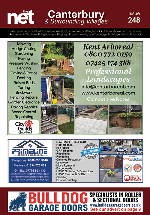 Wave Community Bank - The Net Magazine