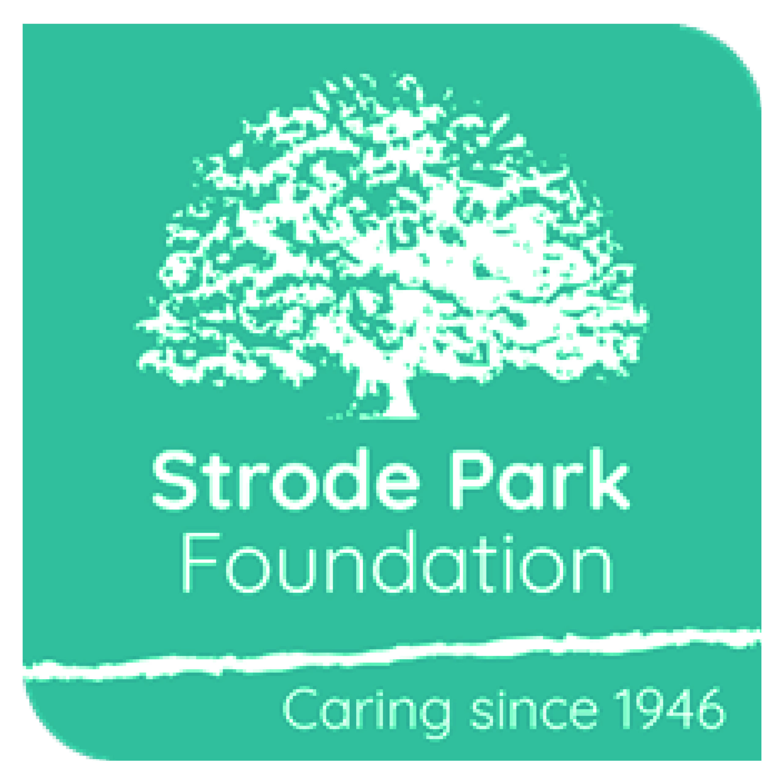 Strode Park Foundation - The Net Magazine